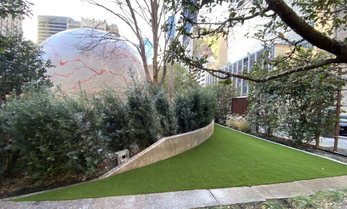 Eyeball Park | Artificial Grass Project | SYNLawn